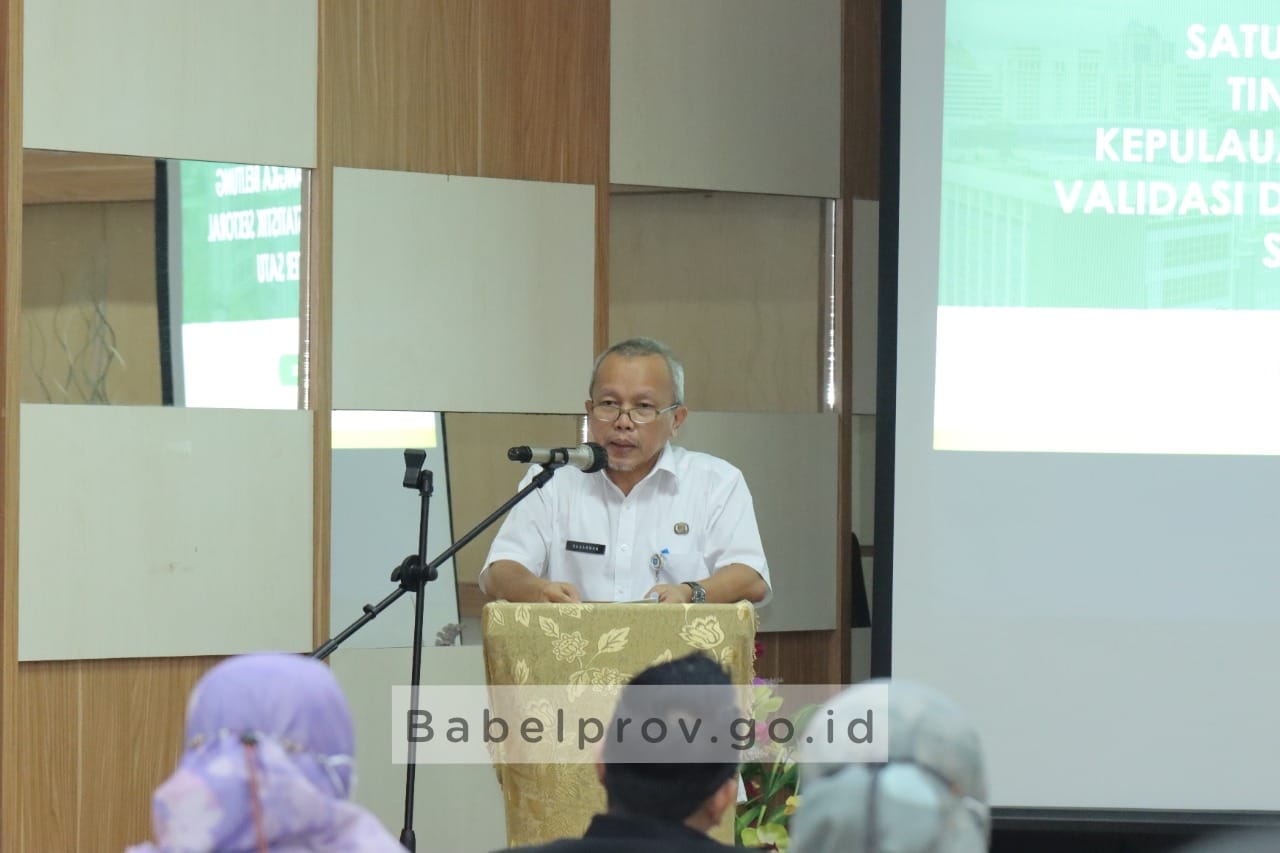 Kadis Kominfo Babel Tekankan Pentingnya Validasi Data, Menuju Satu Data ...